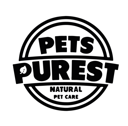 Our Fearless Portfolio | Fearless Adventures